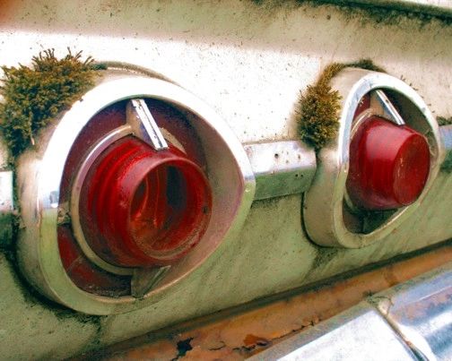 J-034 'Tail Lights' Chevy Impala - 1960's | Salted Studio by Julie ...