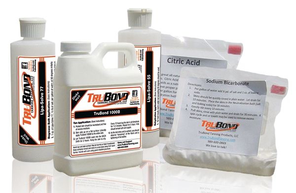 Taxidermy Kit B-Wallhanger