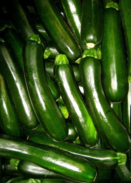 Dark Green Zucchini Squash Seeds
