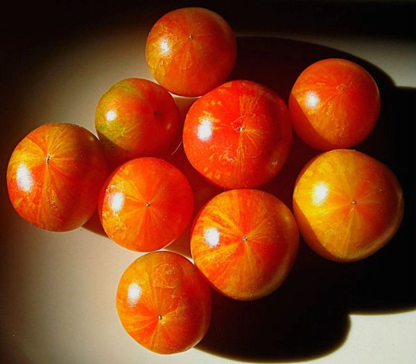 Starfire Iris Cherry Tomato Seeds