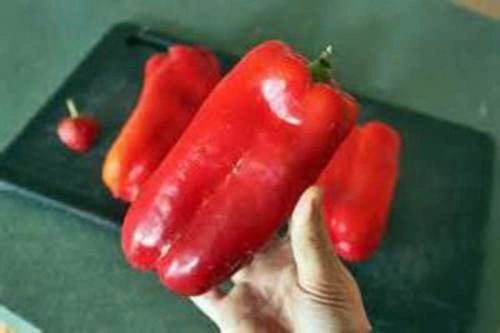 La Rouge Royale Sweet Pepper Seeds