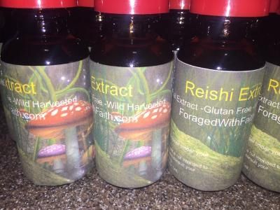 Ganoderma Tsugae (Reishi) (Dual Extract Liquid Tincture: 2oz. $29.99)