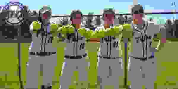 The Hitting Zone STL - Batting, Baseball and Softball