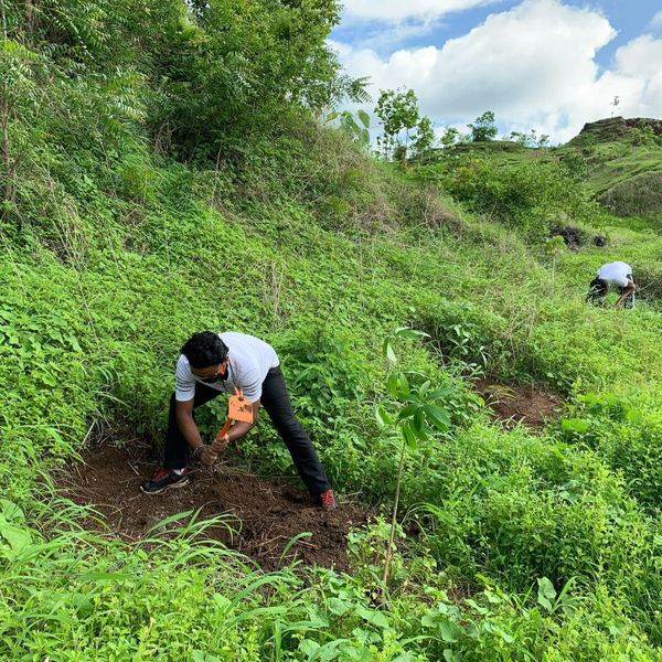 Donate a Sapling for Community Forest (80G available)