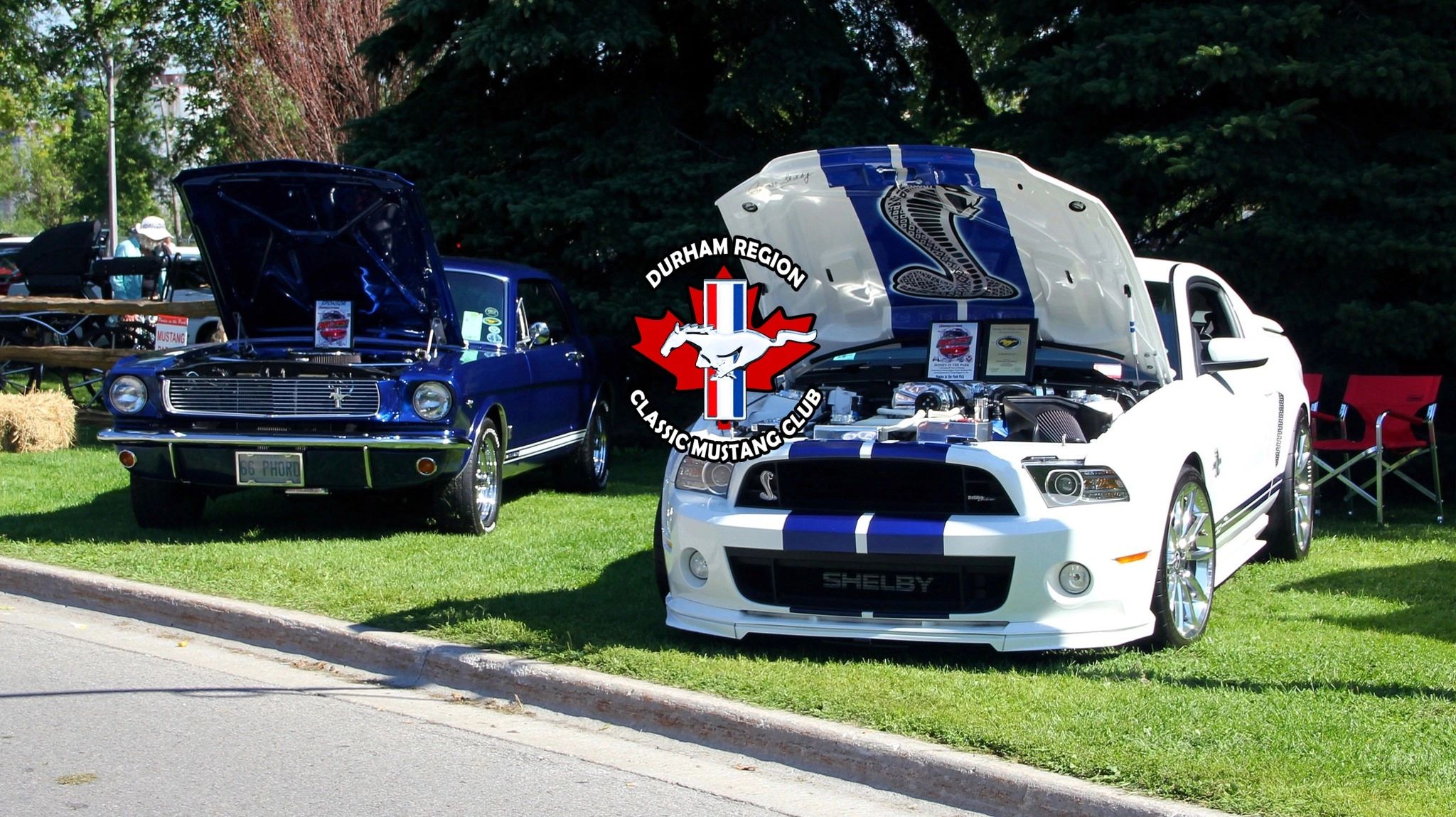 Durham Region Classic Mustang Club