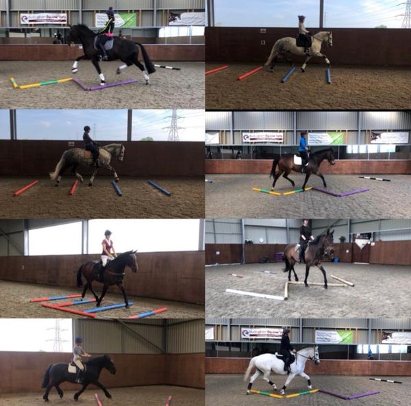 Paired Pole Work Lesson