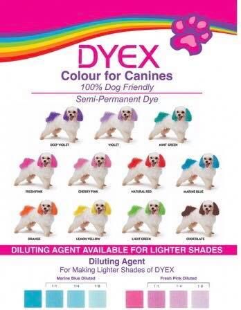 DYEX- Pet Hair Dye 100% Safe for pets