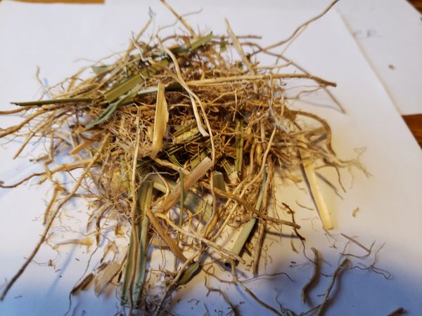 VETIVER ROOT ORGANIC HERB 1/2 OZ