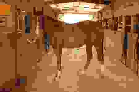 About Us | Hayes Ranch