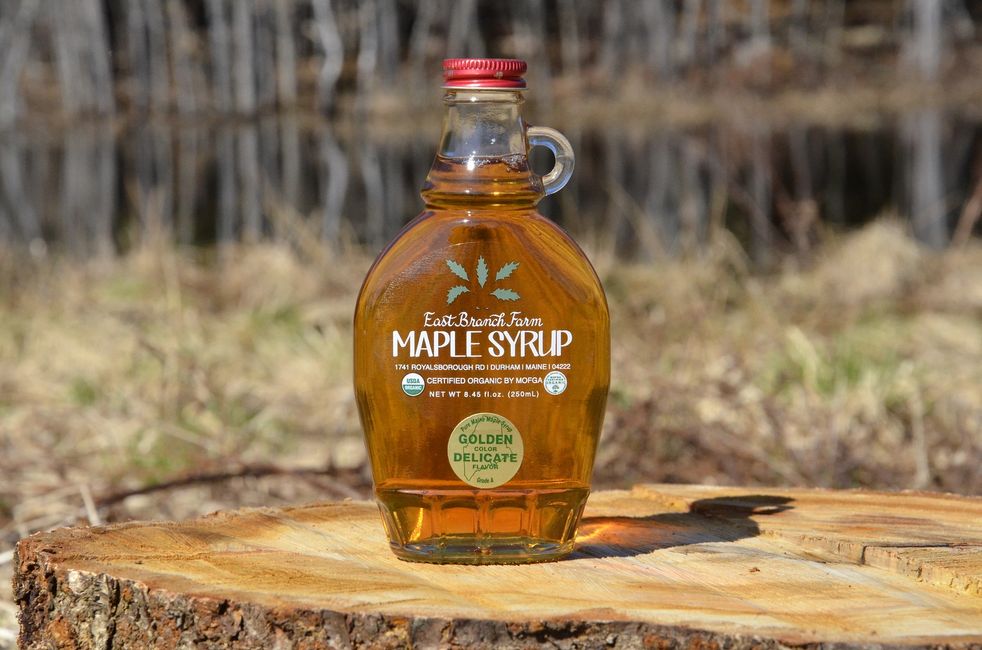 Maple Syrup | East Branch Farm