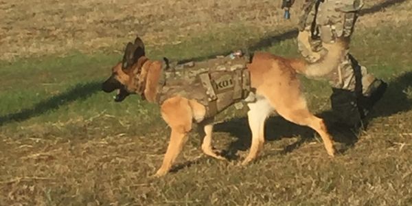 American Tactical K9 Association - Home