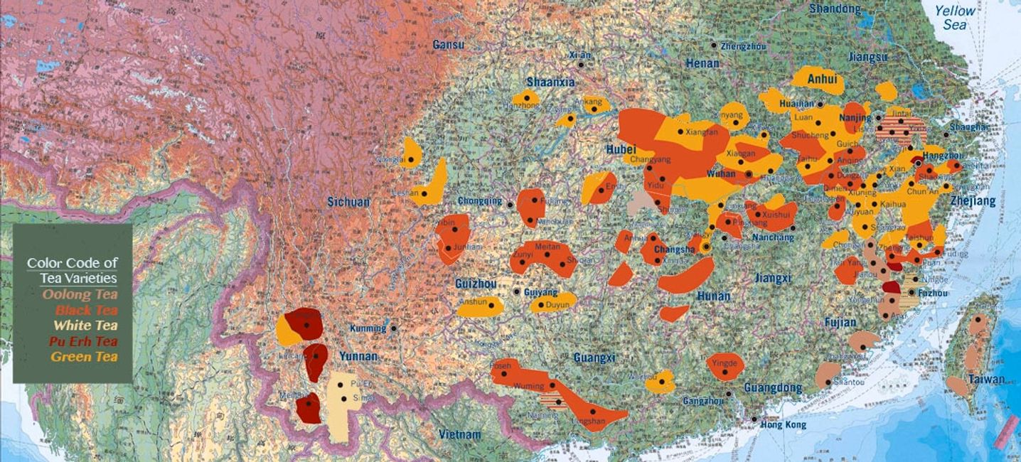 Selected Online Teas | Sinofiliateashop.com