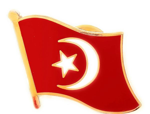 Nation OF Islam Flag Pin