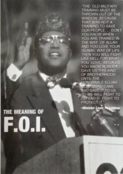 The Meaning of F.O.I.