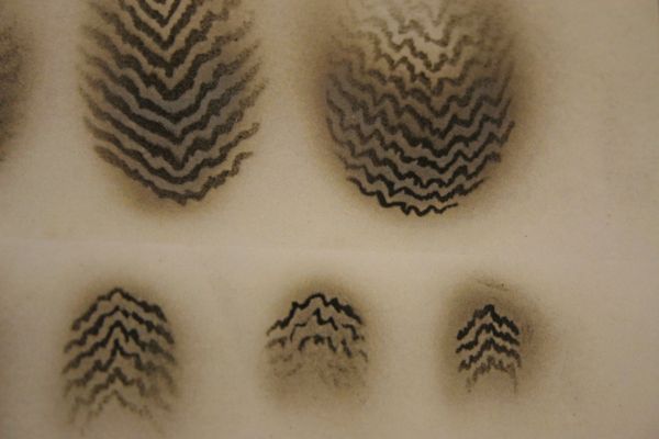 Vermiculation Stencil Set