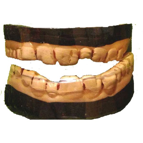 Scary Rotting Cosplay ZOMBIE MONSTER DENTURE Costume Prop Accessory ...