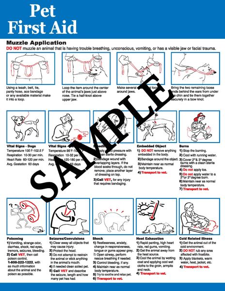 Pet CPR and First Aid