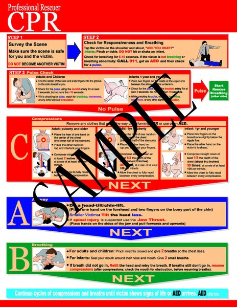 A BLS CPR Chart