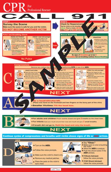 Professional Rescuer Poster 11 x 17