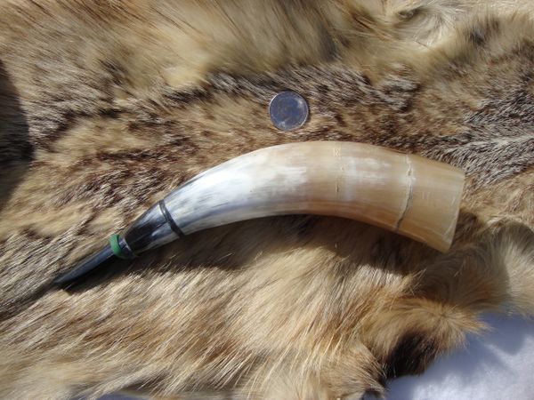Open Reed Polished Bull Horn Alpha Male Coyote Howler, | Nor' Easter ...