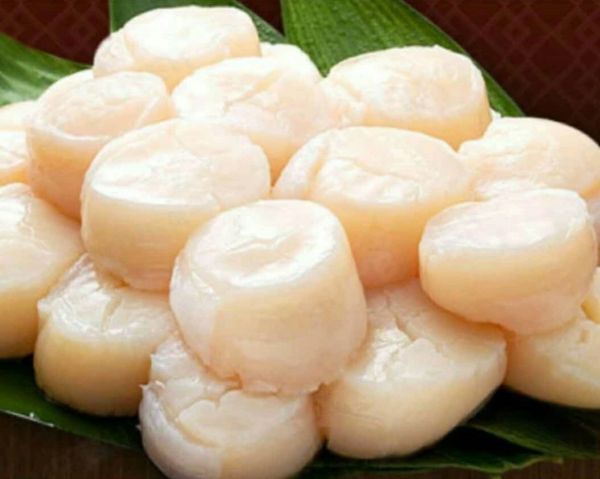 Sashimi Grade Japanese Scallops - 500g