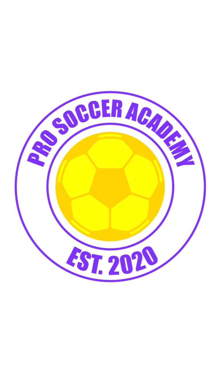 Pro Soccer Academy