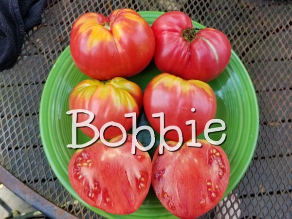Boobie Tomato
