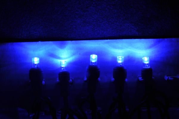 Blue 12 Volt Wide Angle 20-Bulb LED Light String w/15ft Extension Cord ...
