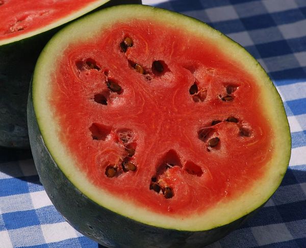 Sugar Baby Watermelon - 50+ seeds