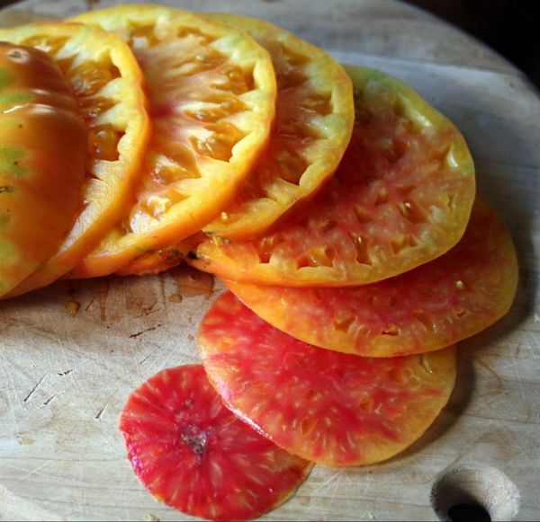 Hillbilly Flame Heirloom Tomato Seeds