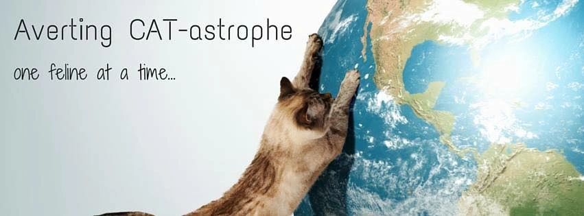 avertingcatastrophe.org