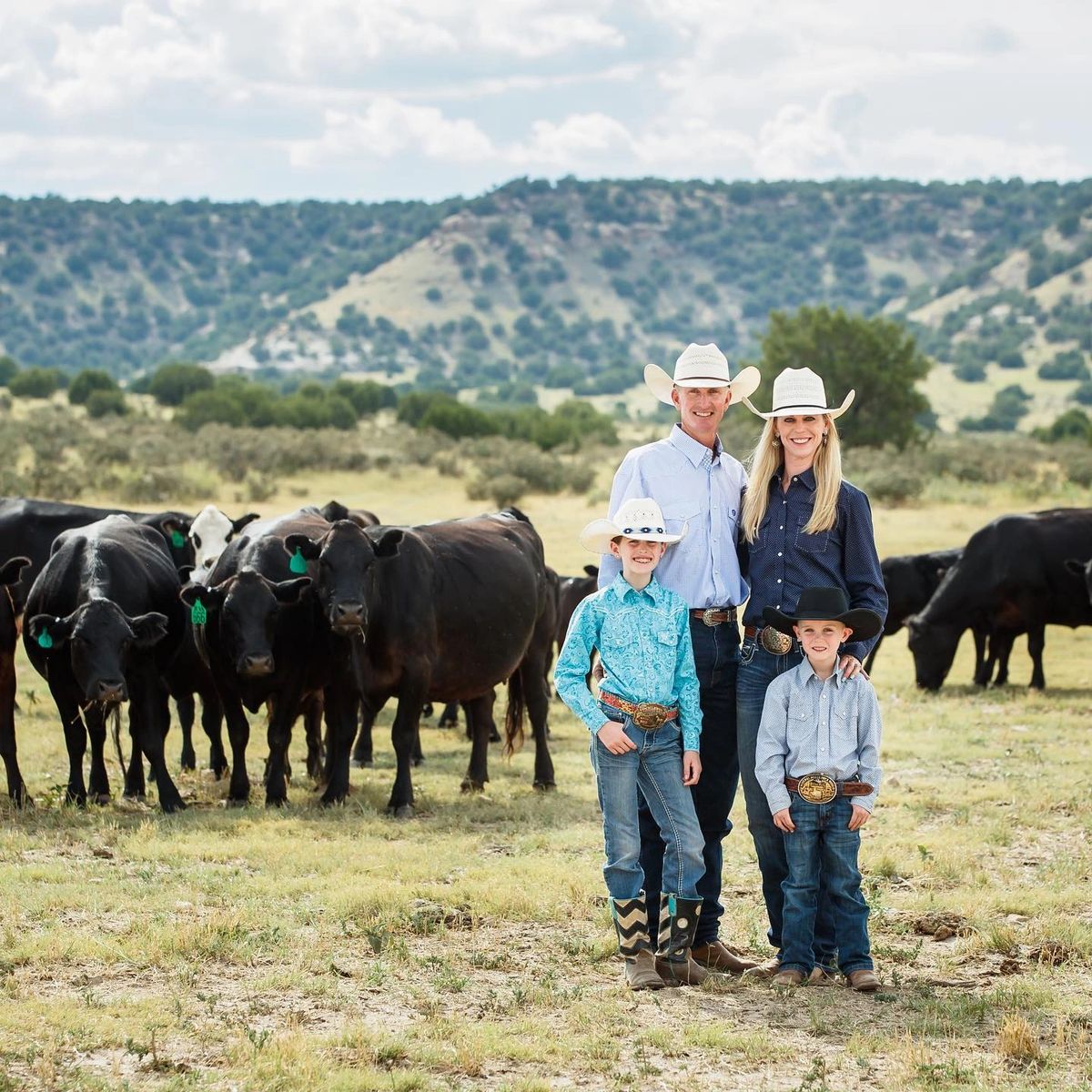 Wagyu x Angus Beef Shares