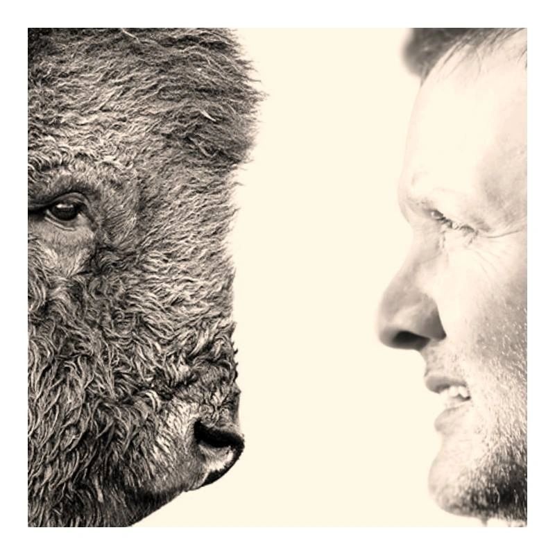 Accueil - Pierre Sabourin | Pierre Sabourin