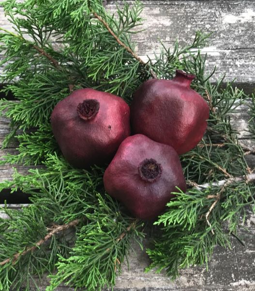 Pomegranates, dried, whole, color-enhanced for decorating and crafting ...