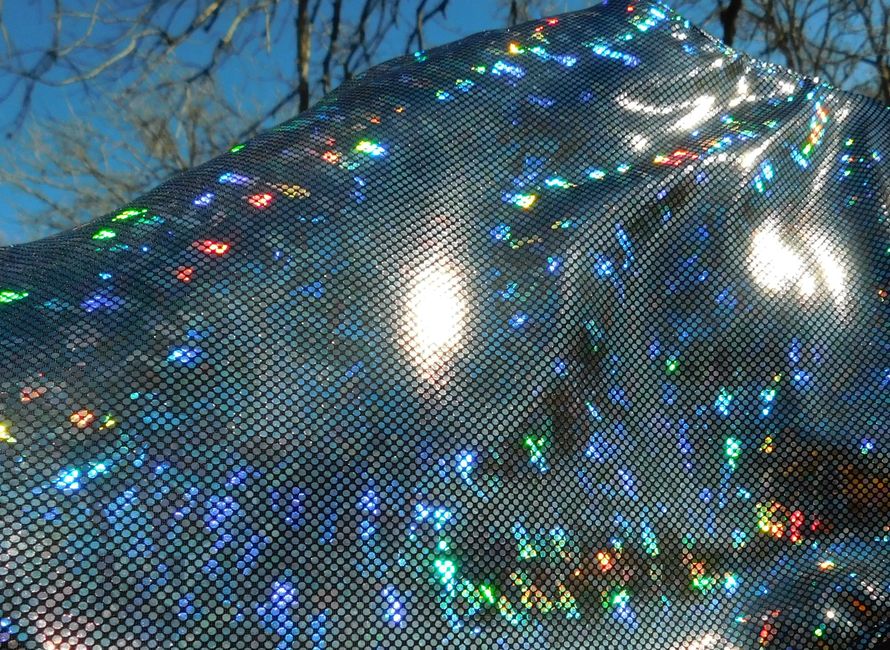 Pet Protection Vest, Dog, Birds - Pawsitive Innovations