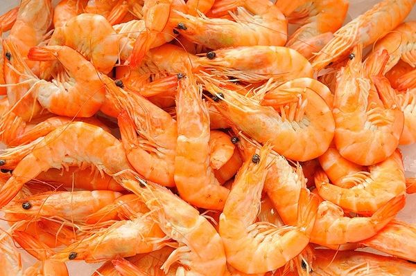 Large Cooked Crevette. Pack of 12