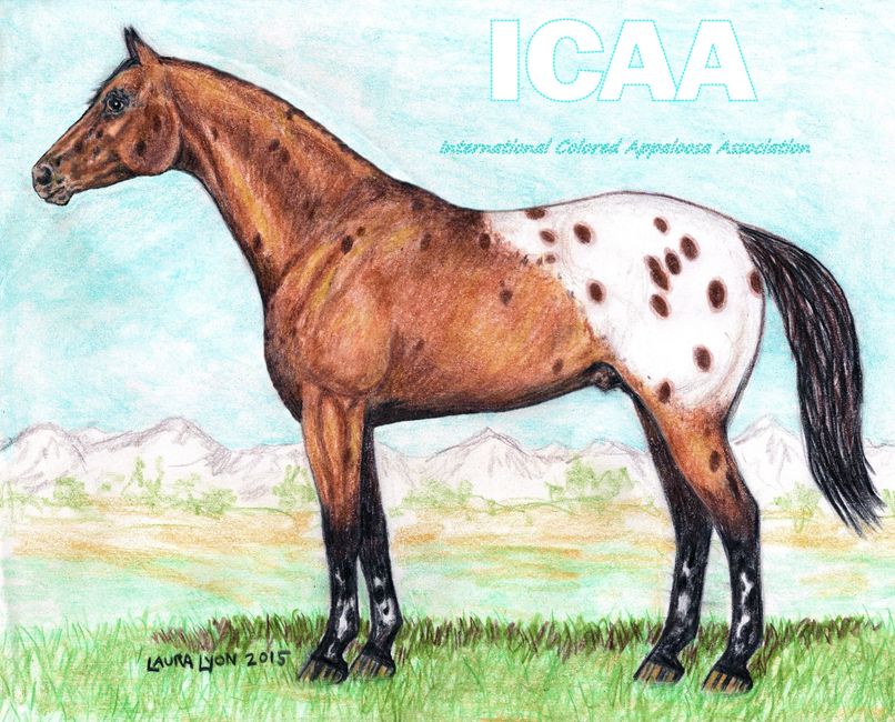 Breed Standards | International Colored Appaloosa Association, Inc