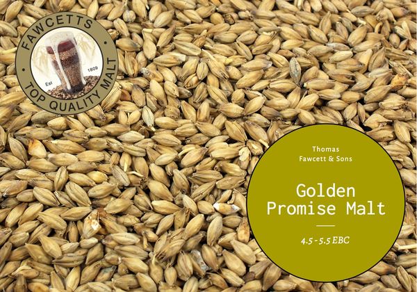 Golden Promise Malt (Thomas Fawcett)