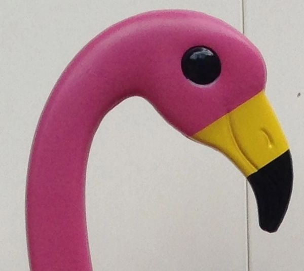 50 Flocking Flamingos (Skinnimingos) ON SALE NOW/PLEASE NOTE APRIL ...