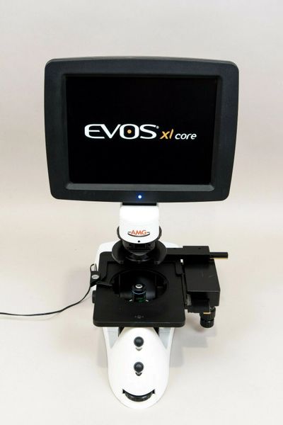 Life Invitrogen Thermo Fisher EVOS™ XL Core AMG Imaging System AMEX1000