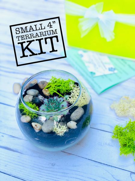 Small Basic Terrarium Kit