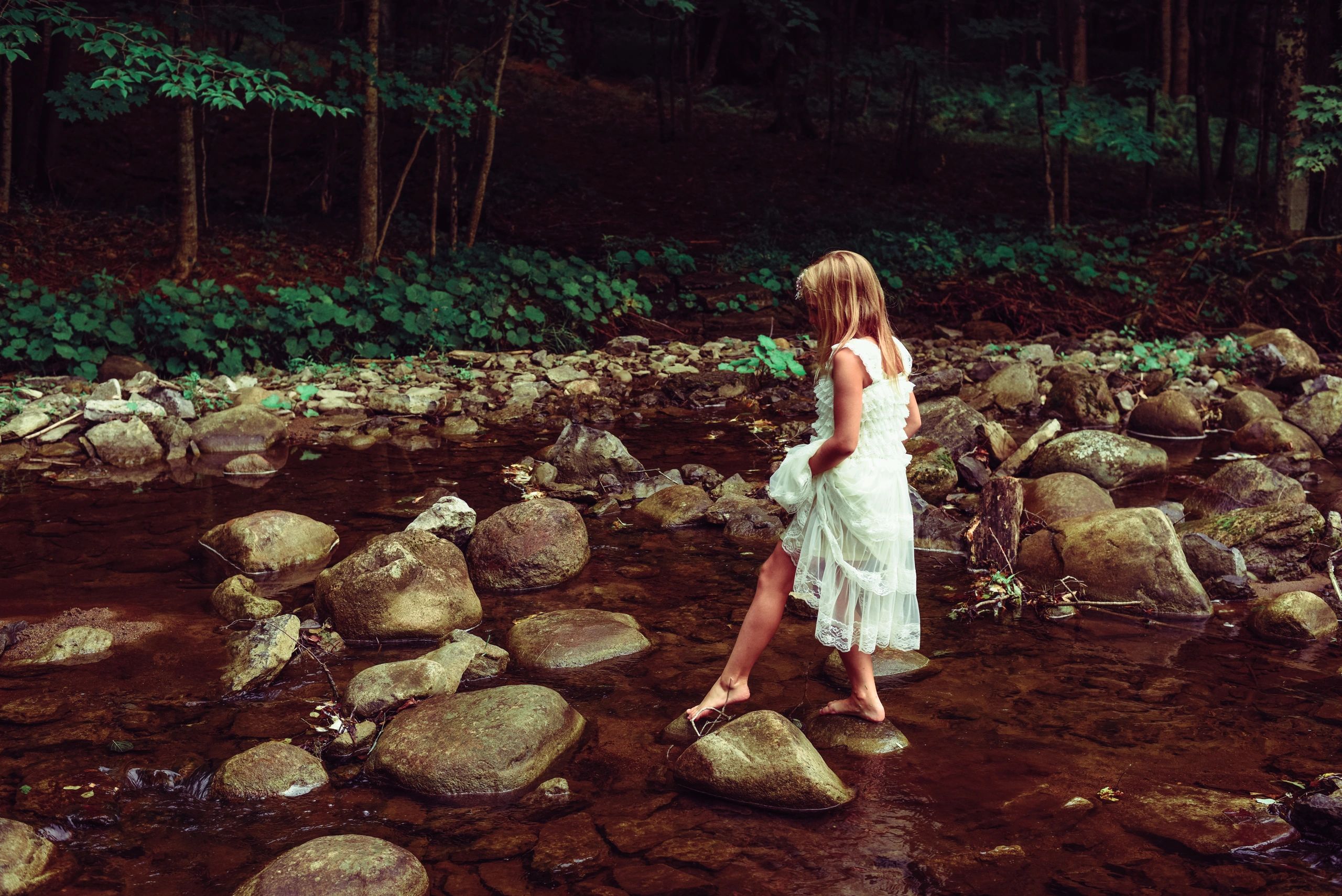 Gallery - FoxTail Photography