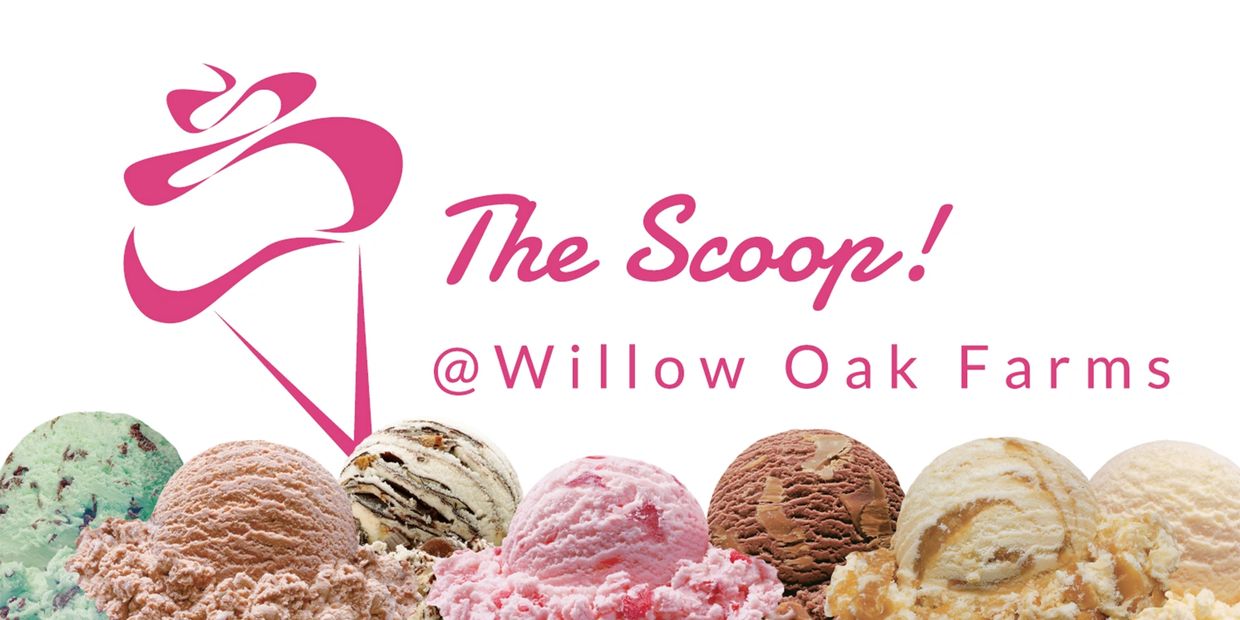 Welcome to The Scoop