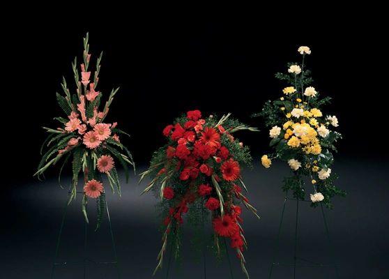 Standing Spray 3 different choices