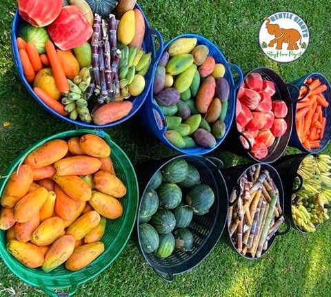 Support Elephants & Local Farmers