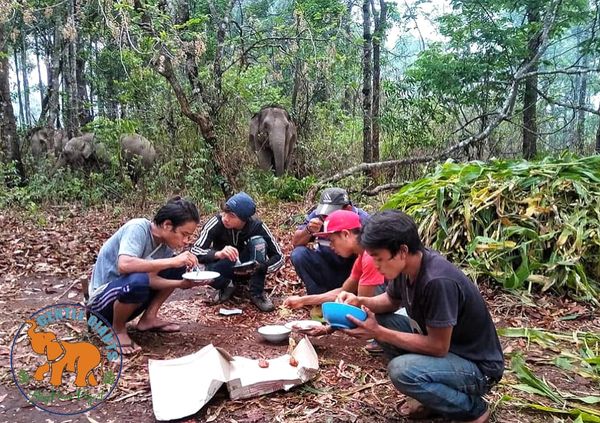 Villagers - Community