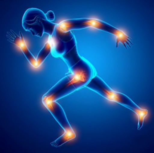 Joint Training System Part 2