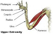 UPPER EXTREMITY IMPAIRMENT EVALUATION TEMPLATE
