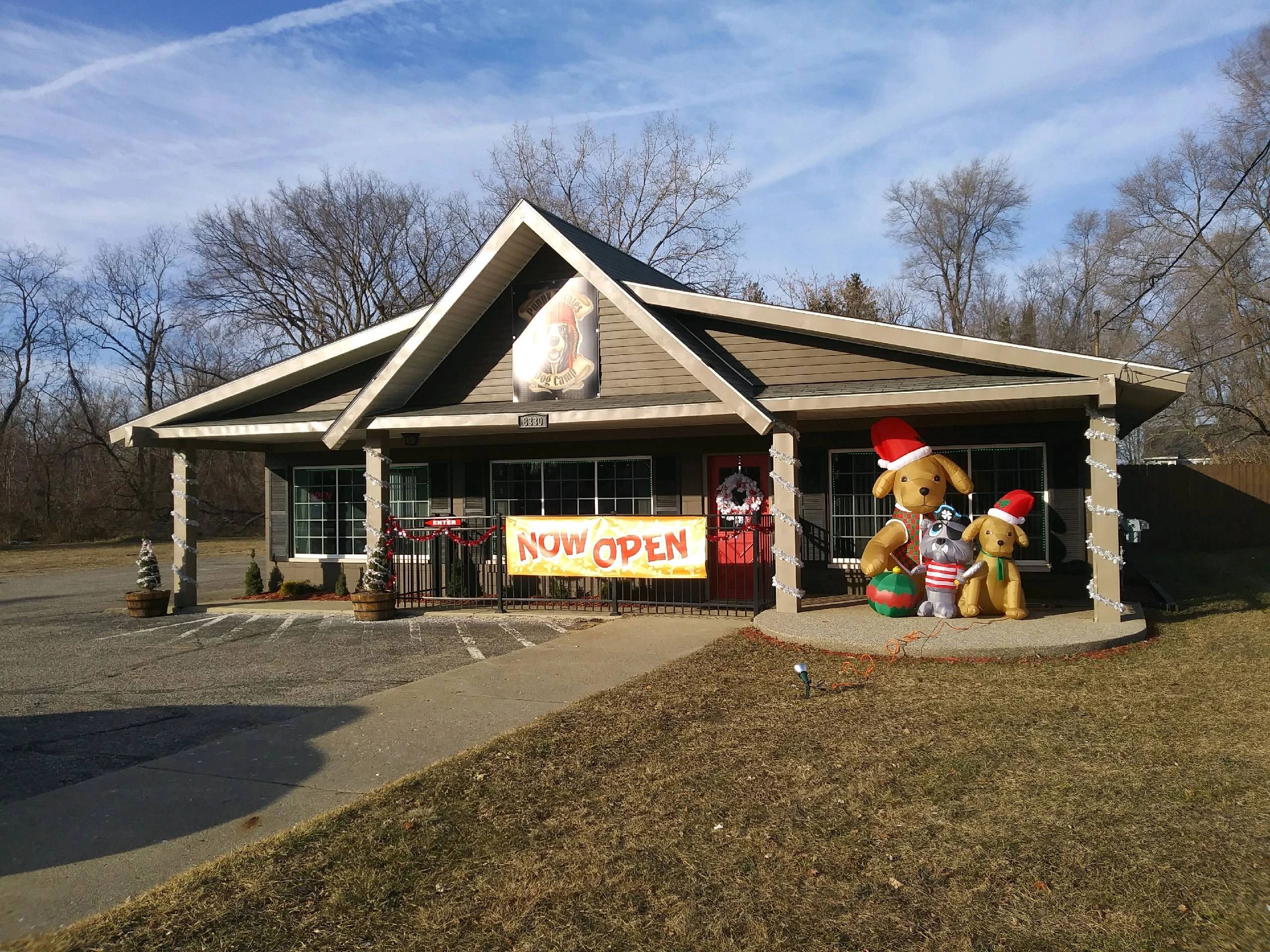 Puppy Pirates Dog Camp - Dog Daycare, Dog Boarding