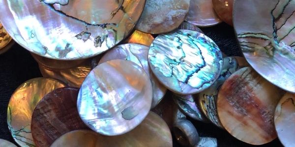 PACIFIC RIM ABALONE - Abalone Shells, Sea Shells, Seashell